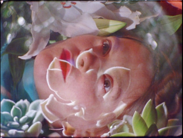 Analog Photography: Who's Keeping It Alive | Take Magazine