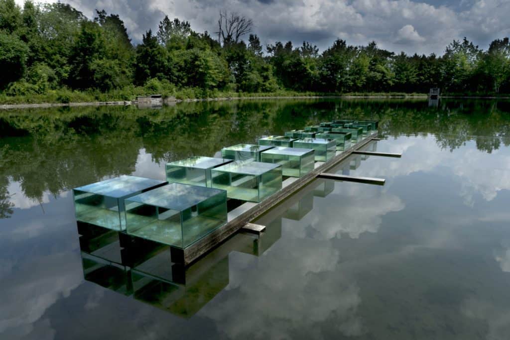 David Teeple: The Life of Water | Take Magazine